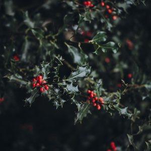 Music by Justin K. Reeve